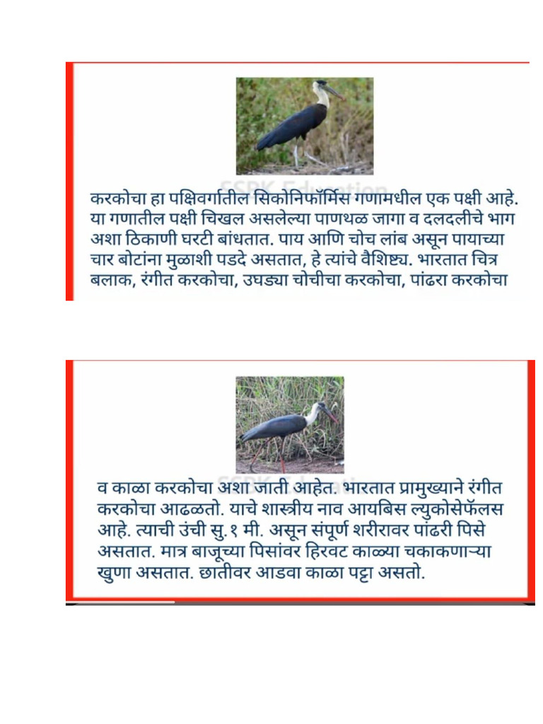 Kar Kocha Info | PDF