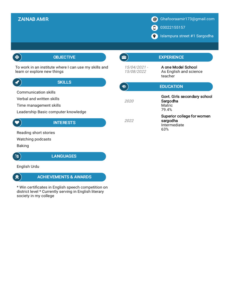 Zainab Amir's CV: Skills & Experience | PDF