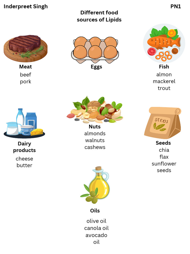 Top Food Sources of Lipids | PDF