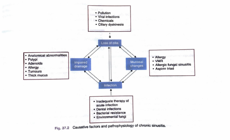 Pathophysiology of Chronic Sinusitis | PDF