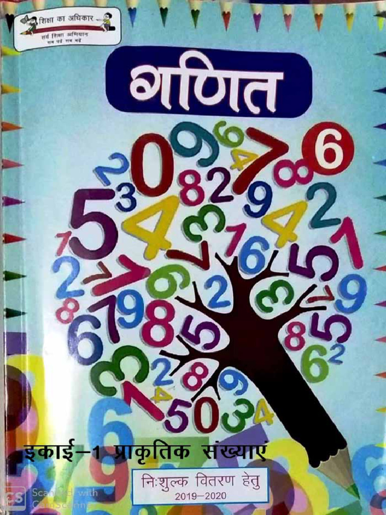 Maths Class 6 | PDF
