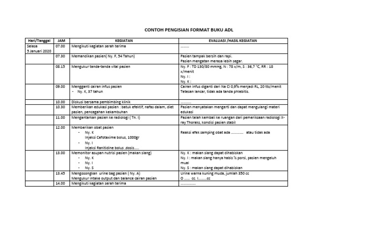 Contoh Format Buku ADL Pasien | PDF