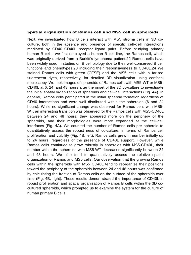 Ramos and MS5 Cell Spatial Dynamics in Spheroids | PDF | B Cell ...