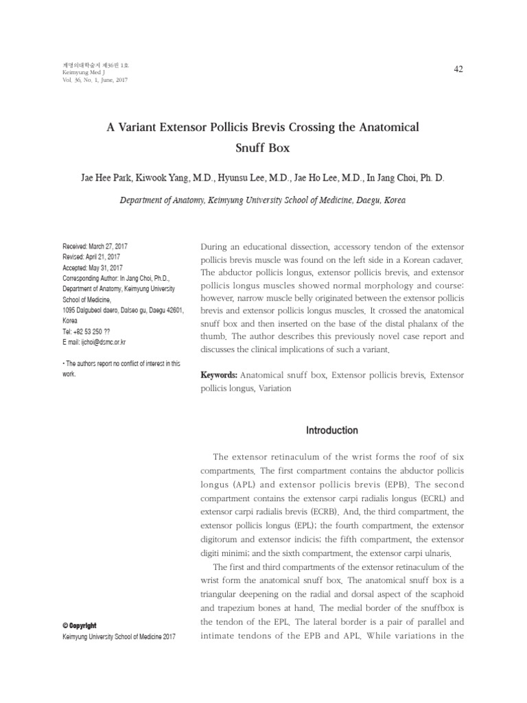 A Variant Extensor Pollicis Brevis Crossing The Anatomical Snuff Box ...