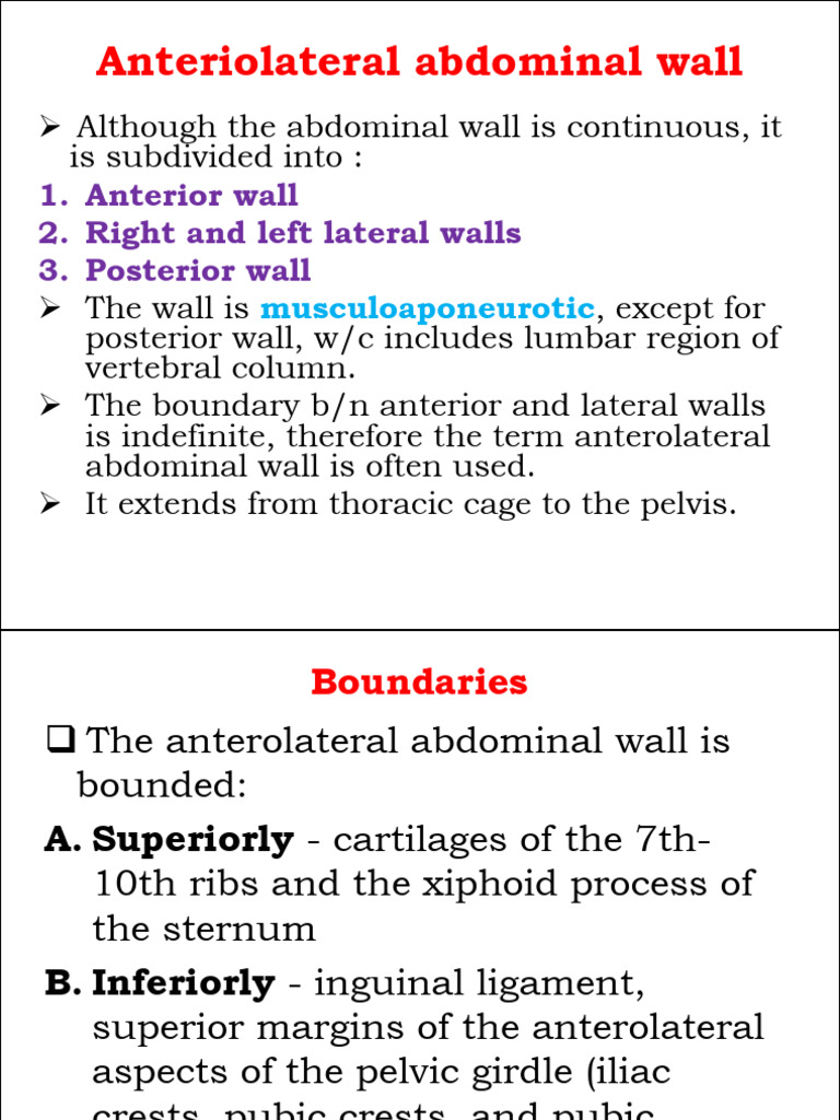 Anatomy of GIT For PCI Students | PDF | Pancreas | Peritoneum