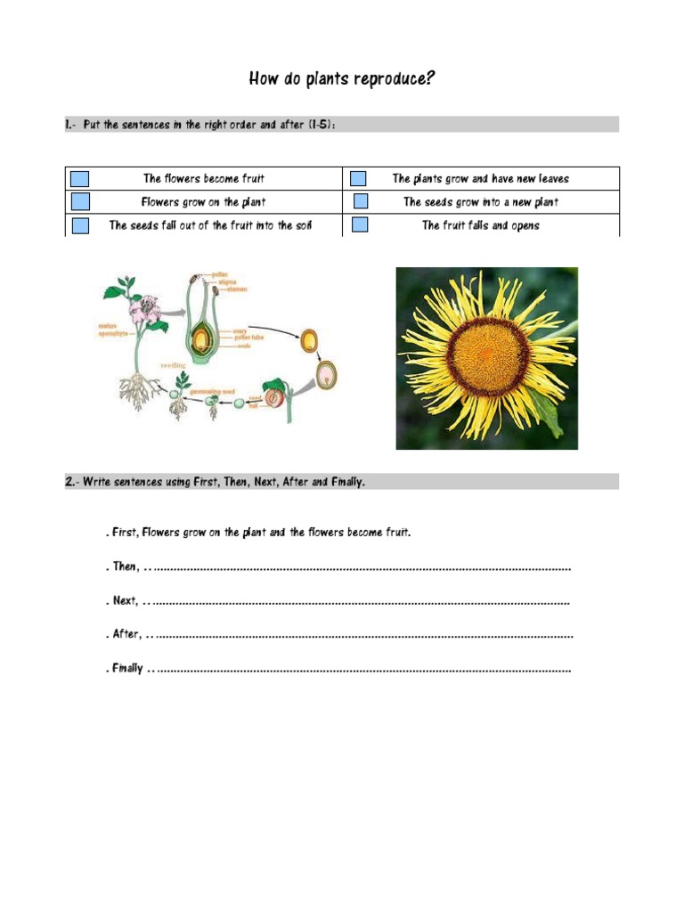 How Do Plants Reproduce | PDF