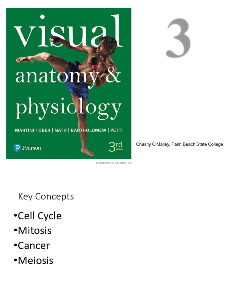 CHAPTER 3 cell division | PDF | Meiosis | Mitosis