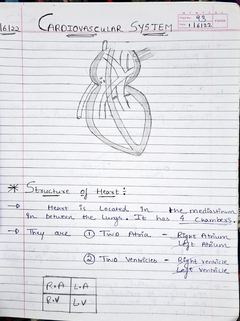 Cvs | PDF