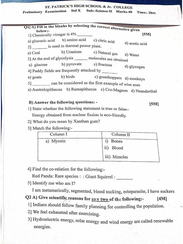Std X Science II | PDF