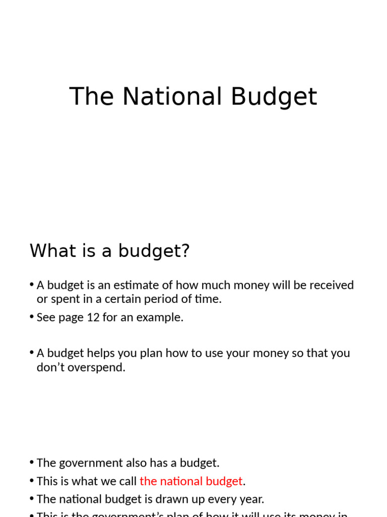 National Budget | PDF