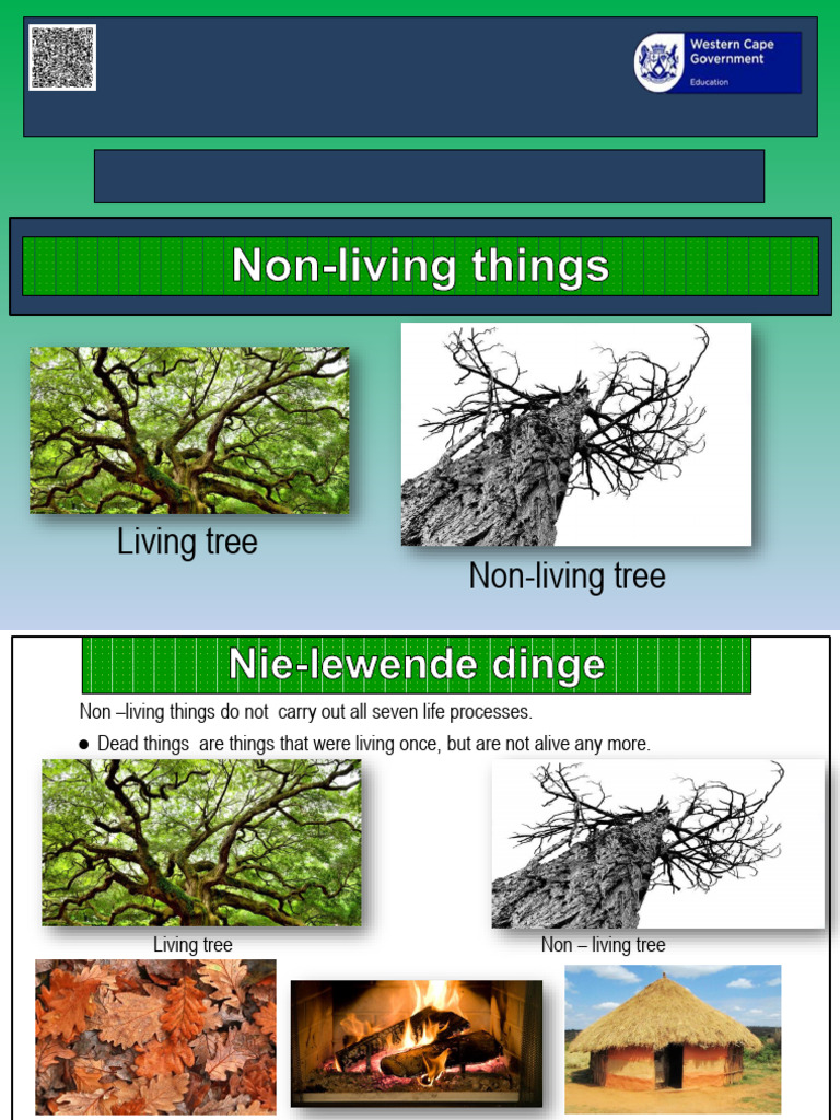Topic 1 Unit 2 Non-Living Things | PDF