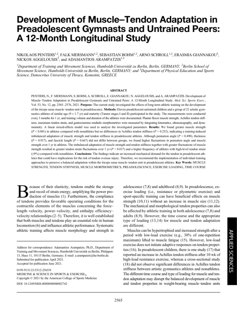Development of Muscle Tendon Adaptation In.12 | PDF | Lower Limb ...