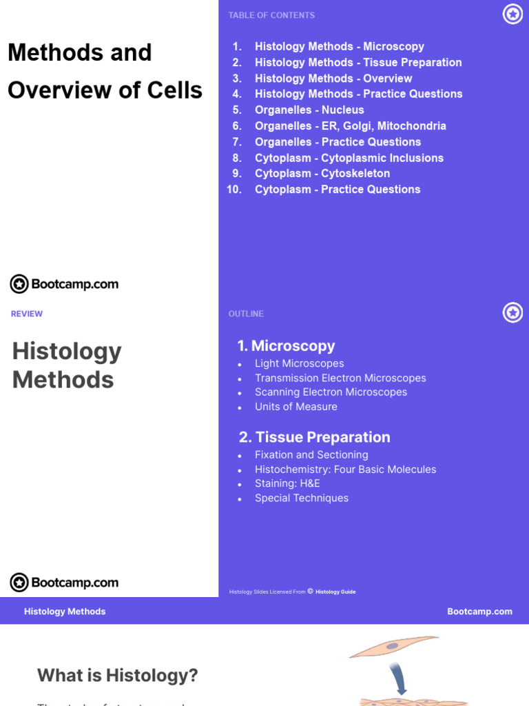 Bootcamp.com Histology | PDF | Endoplasmic Reticulum | Histology