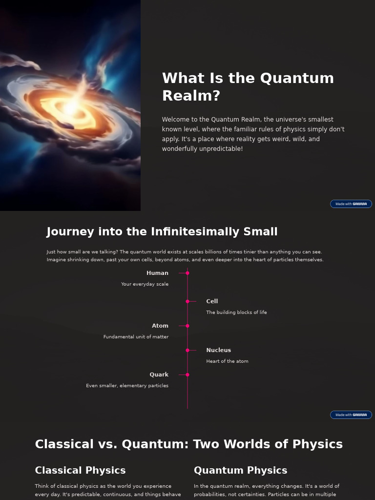 Exploring the Quantum Realm Explained | PDF | Elementary Particle | Atoms