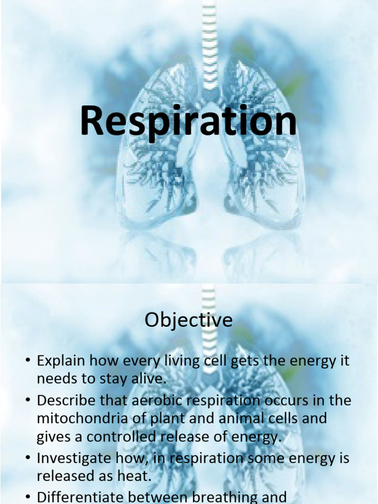 1.4 Respiration (2) | PDF