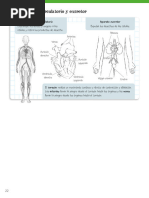 Esquemas Cuaderno 5 | PDF