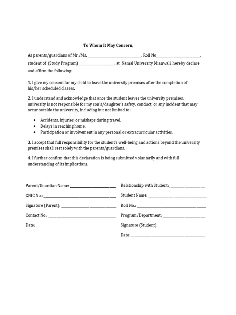 Affidavit Parental Consent Form | PDF