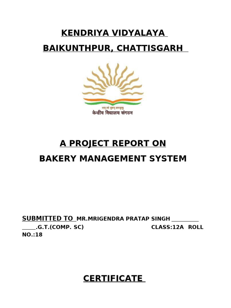 Cs Project Report Template Tacha | PDF