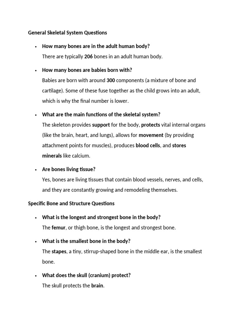 General Skeletal System Questions | PDF | Bone | Skeleton