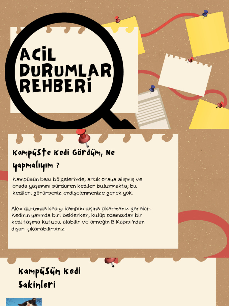 Author Clues.pdf | PDF