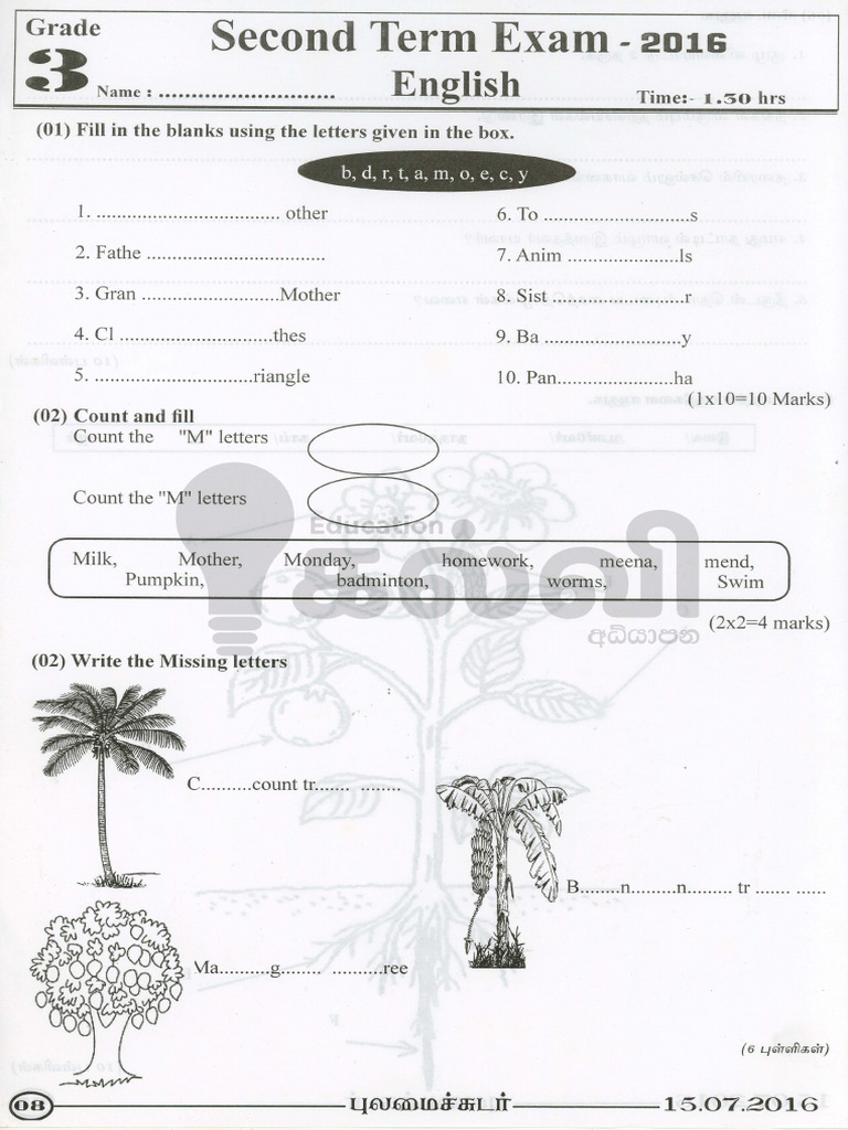 Gr3 Ta English 2016 Term 2 | PDF