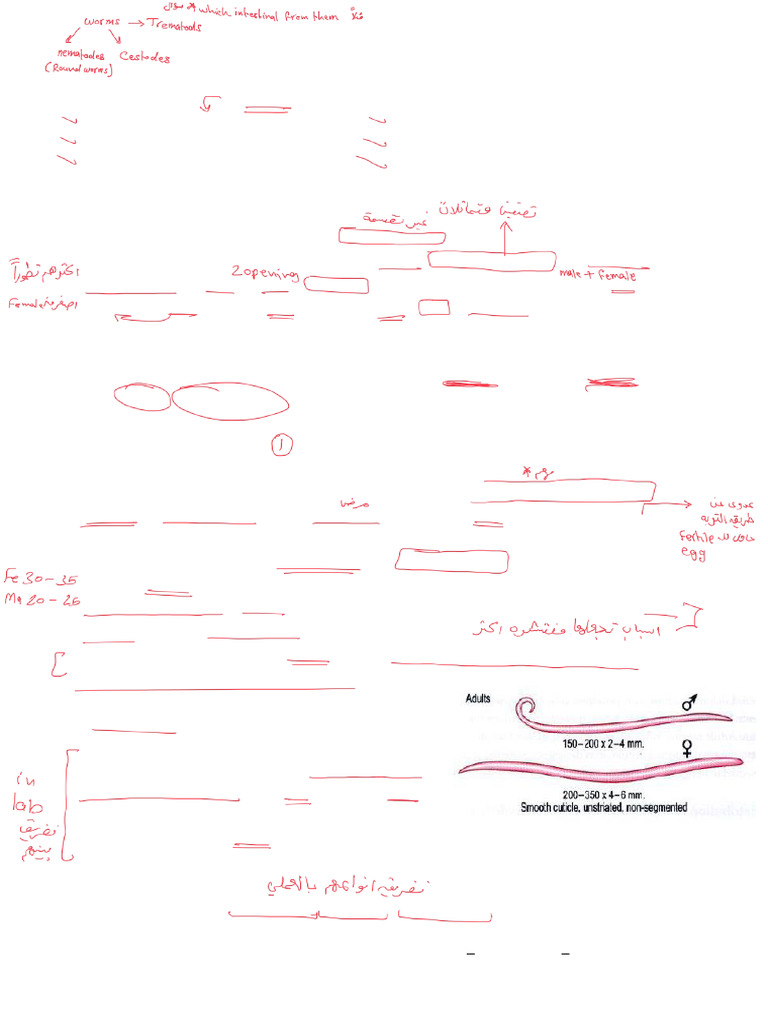 Ch. 9 - Intestinal Nematodes | PDF | Nematode | Medical Specialties
