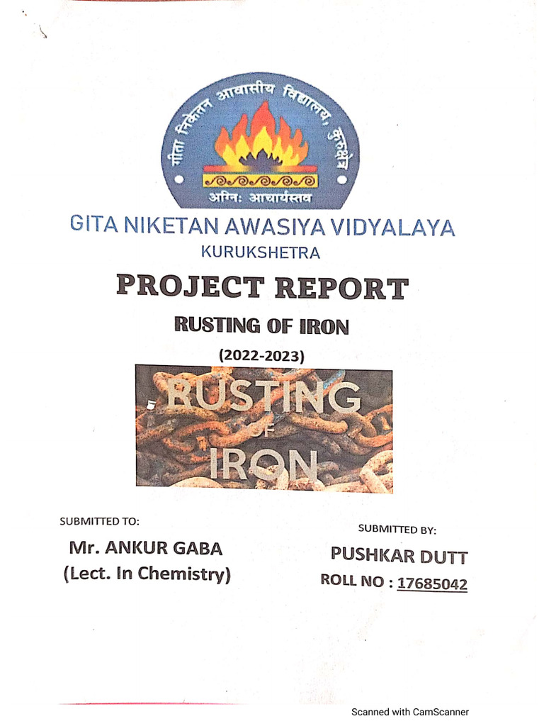 Rusting of Iron | PDF