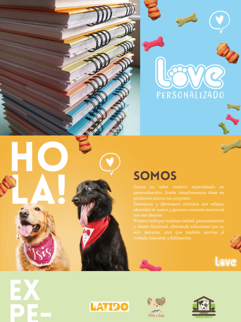 Propuesta CV Love | PDF