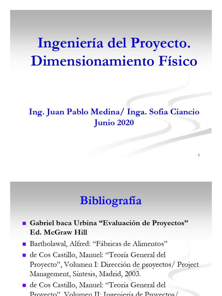 Ingeniería de Proyectos: Dimensionamiento y Evaluación | PDF ...