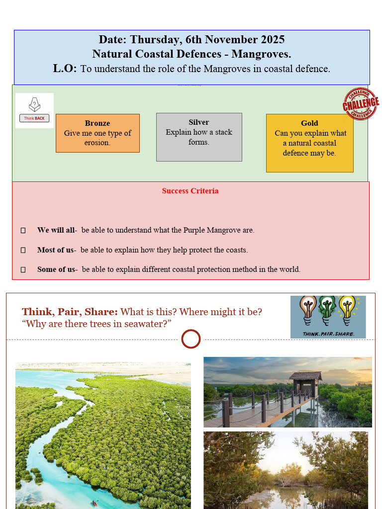 L2_ the Purple Mangroves | PDF | Mangrove | Coast