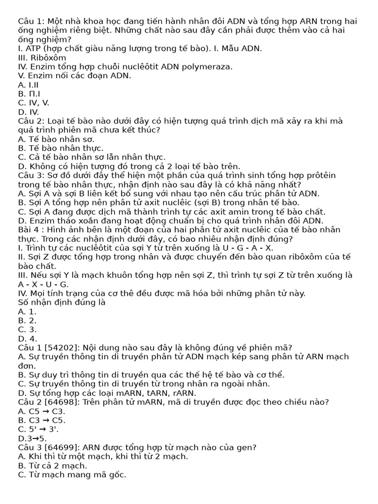 lí thuyết phiên mã | PDF