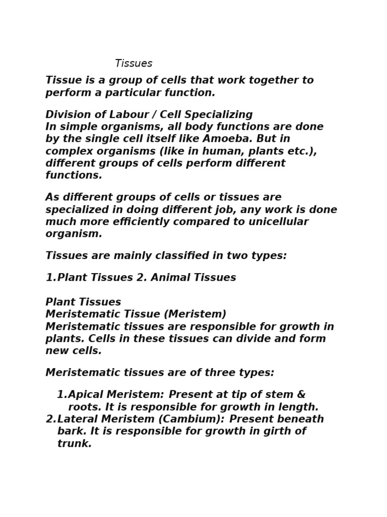 Tissue Class 9th | PDF | Tissue (Biology) | Epithelium