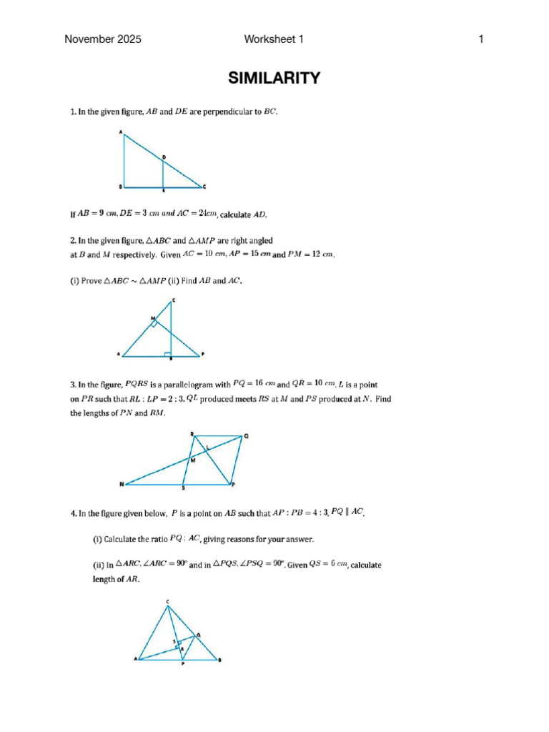 11 Similarity | PDF