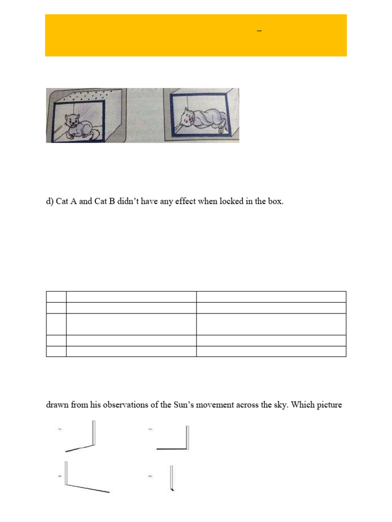 Grade III Science Summer Worksheet | PDF | Energy Development | Fuels