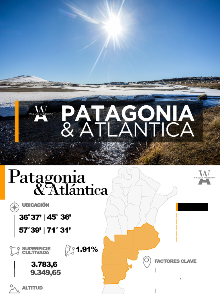 Region Patagonia y Atlantica | PDF | Uva | Vino