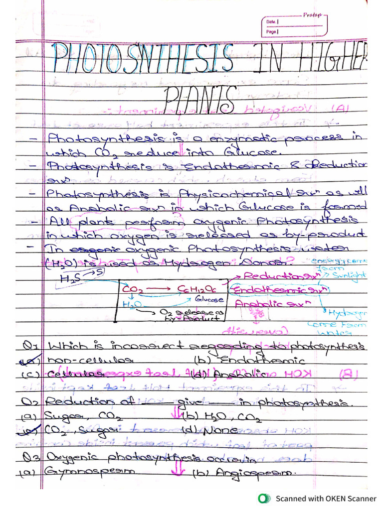 Photosynthesis in Flowering Plants | PDF
