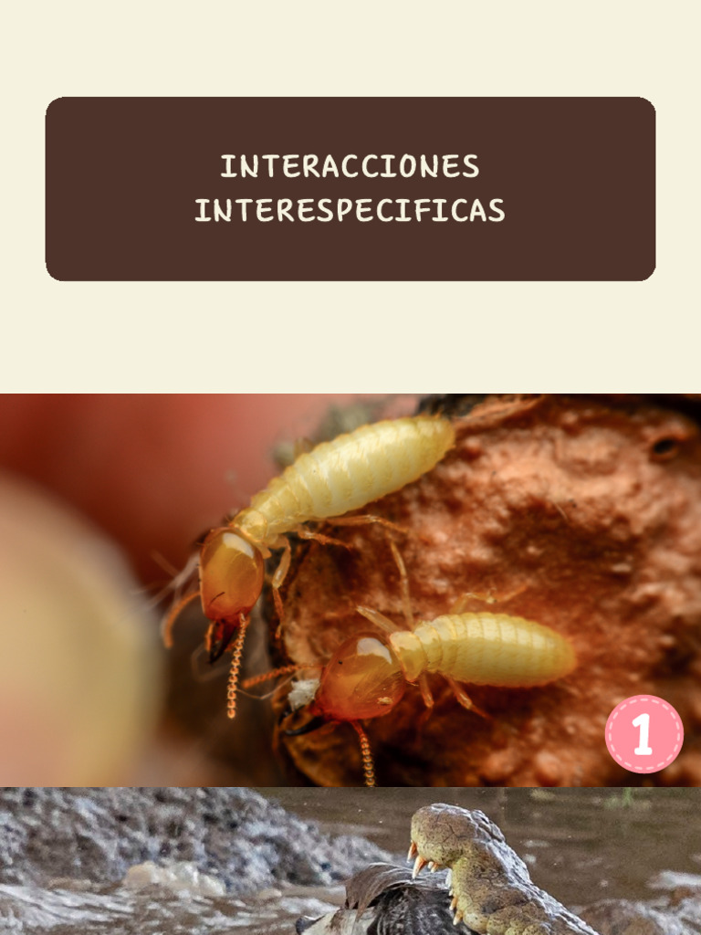 Interacciones Interespecificas Ecología - SURCO | PDF