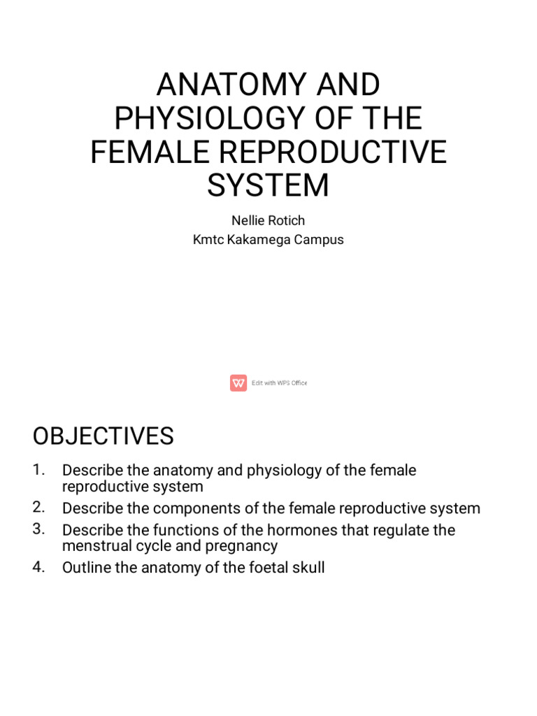 Female Reproductive System Anatomy & Physiology | PDF | Pelvis ...