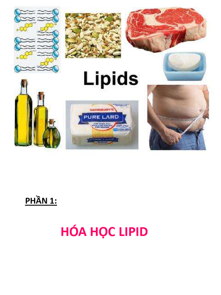 P.LIPID.pdf | PDF