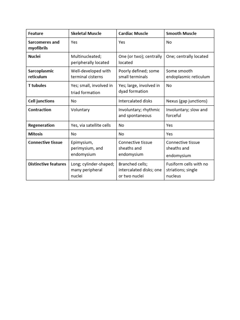 Different Muscle Features | PDF