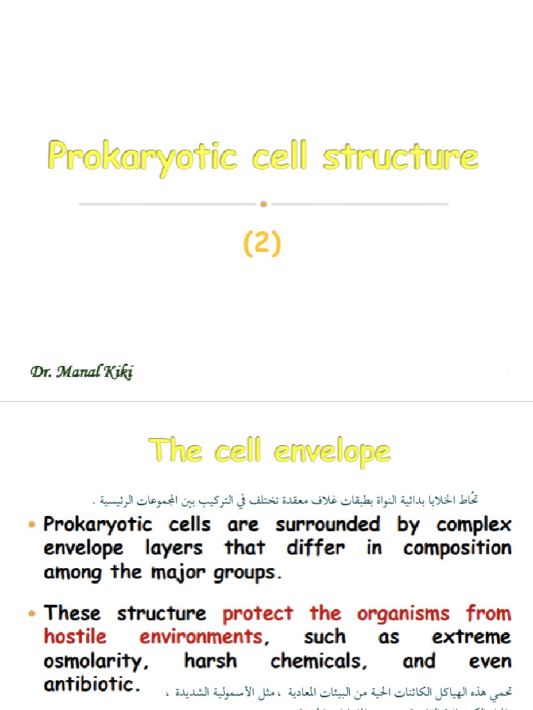 Bacteriology?L2 | PDF