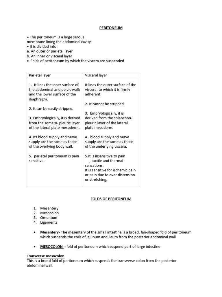 Peritoneum | PDF | Peritoneum | Gastroenterology