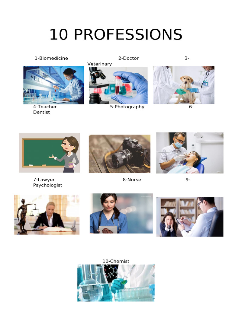 Top 10 Professions Overview | PDF