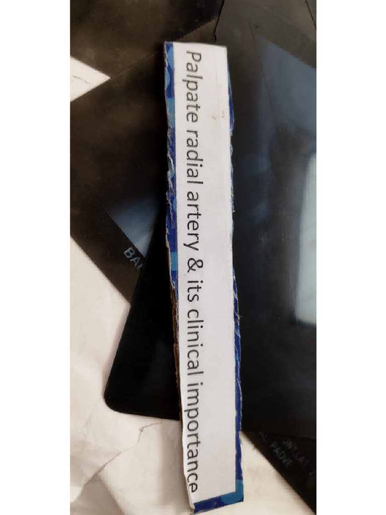 Surface Anatomy-1 | PDF