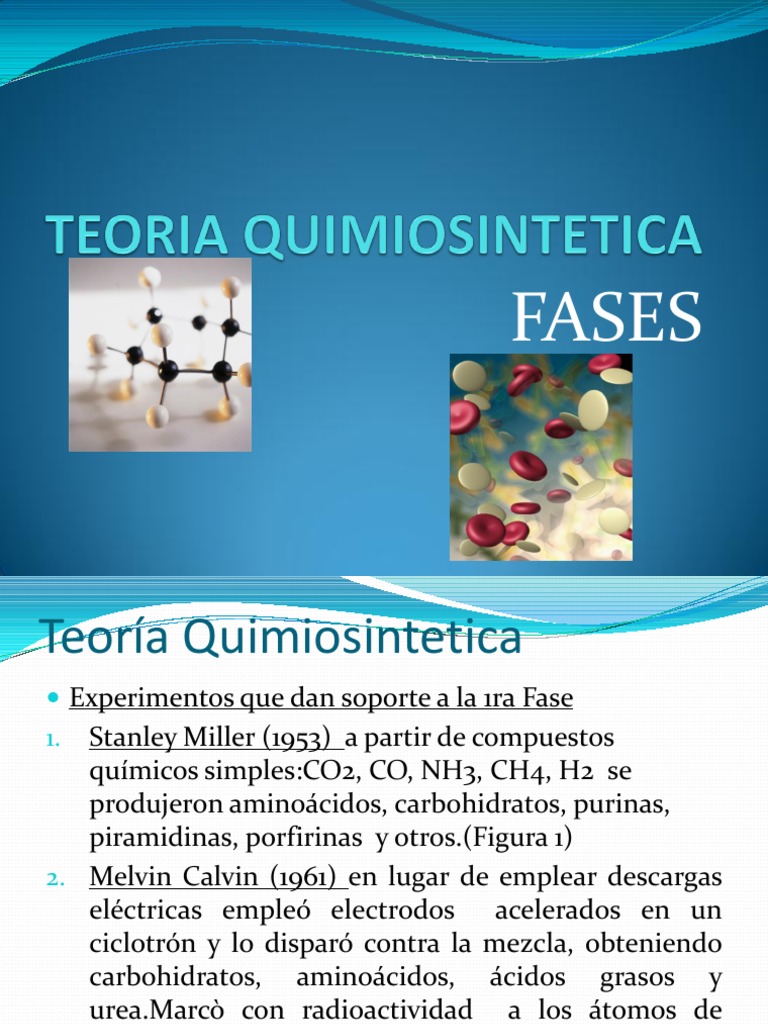 Teoria Quimiosintetica Fase 1 y2