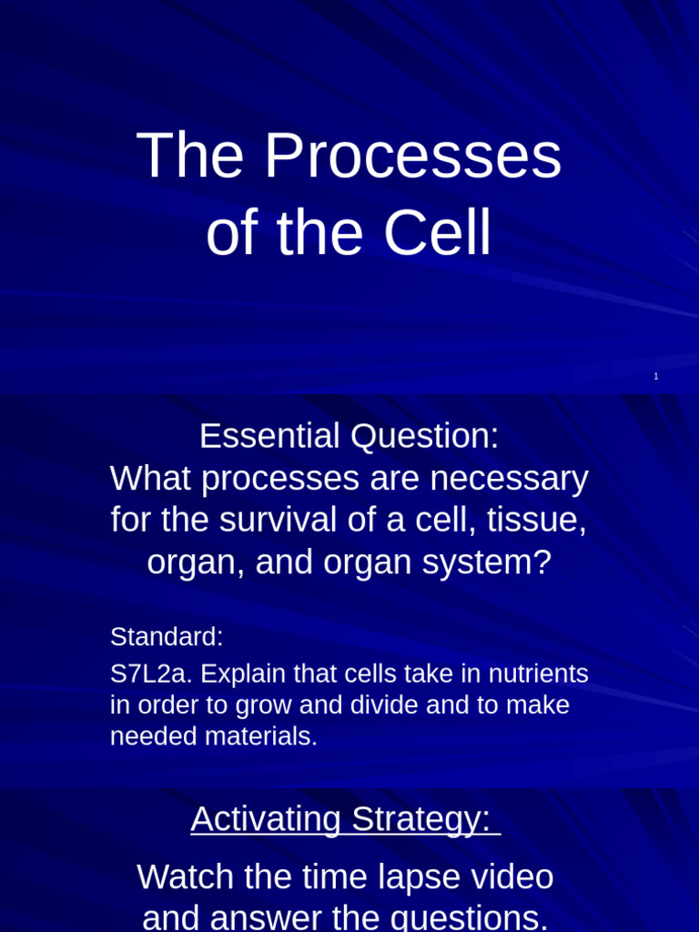 The Processes of The Cell - Photosynthesis and Respiration | PDF