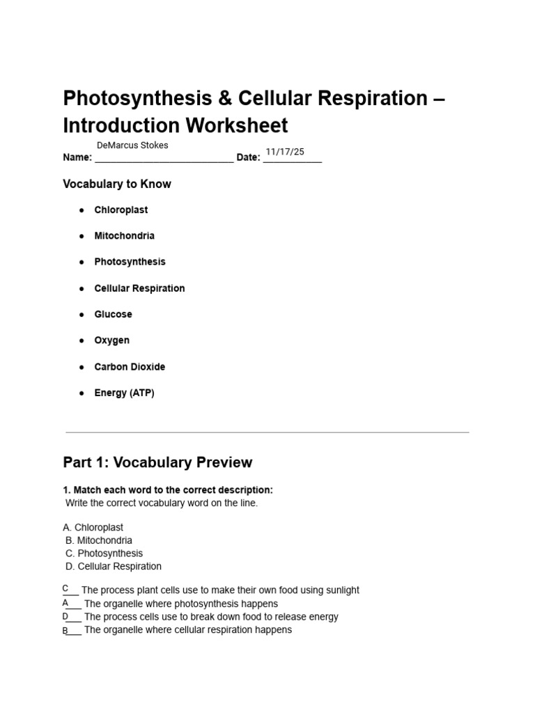 Demarcus Stokes - Photosynthesis & Cellular Respiration – Introduction ...