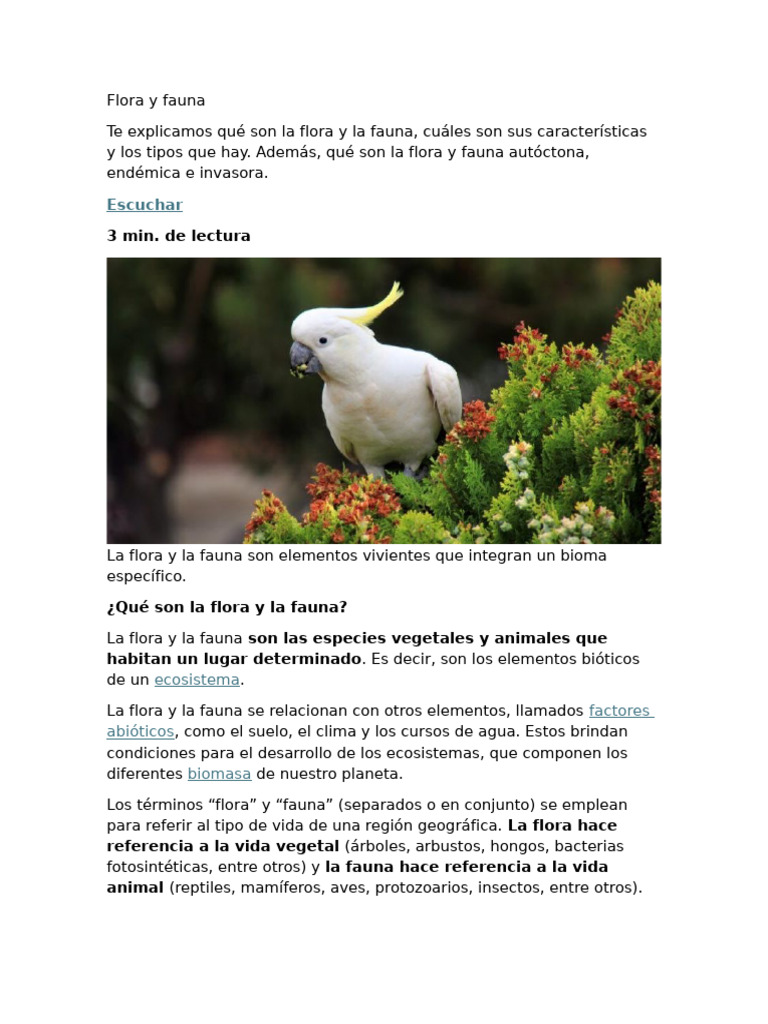Flora y Fauna: Tipos y Características | PDF | Fauna | Habitat