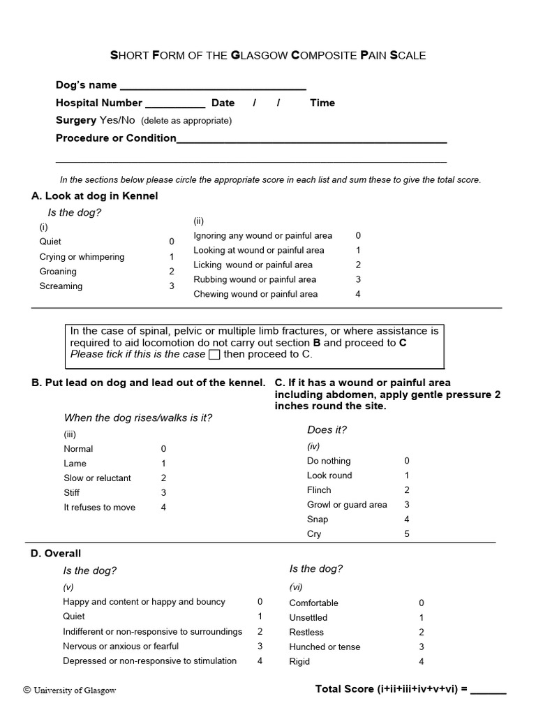 Glasgow Pain Scale | PDF | Nervous System | Medical Specialties