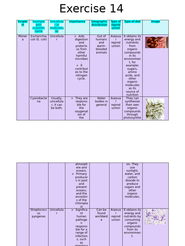 Exercise 14 life science | PDF | Plants | Foods